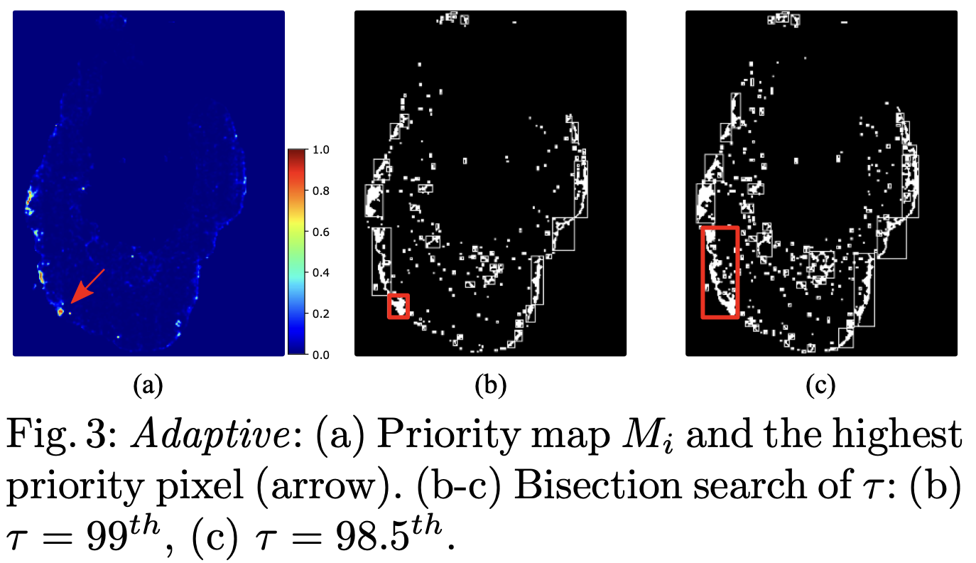 Reducing the annotation effort for microscopy images [MICCAI 2023 paper ...