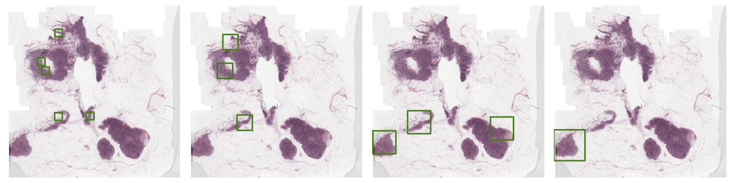 Reducing the annotation effort for microscopy images [MICCAI 2023 paper ... Reducing the annotation effort for microscopy images [MICCAI 2023 paper ...