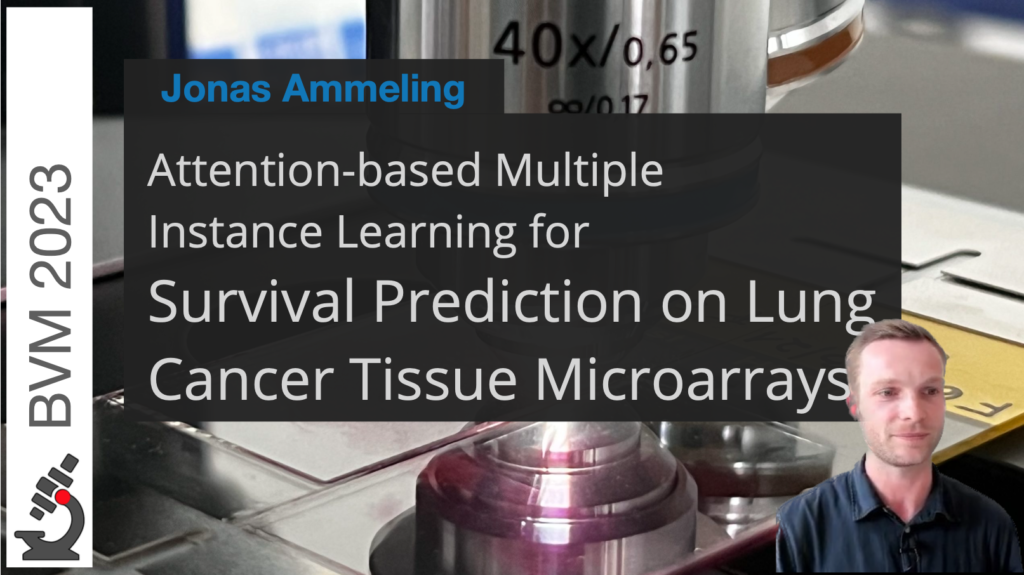 Insights – deepmicroscopy.org