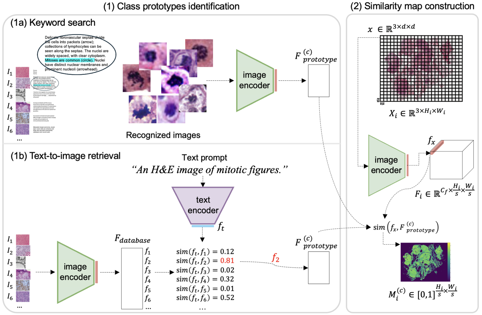 Leveraging Image Captions for Streamlining Histopathology Image Annotation [MICCAI 2024 paper ...