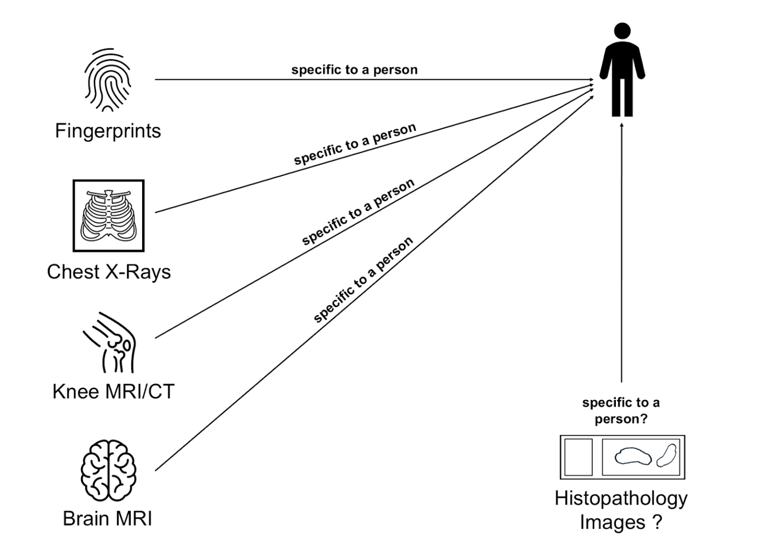 When Histology Reveals More Than Intended: Patient Re-identification ...